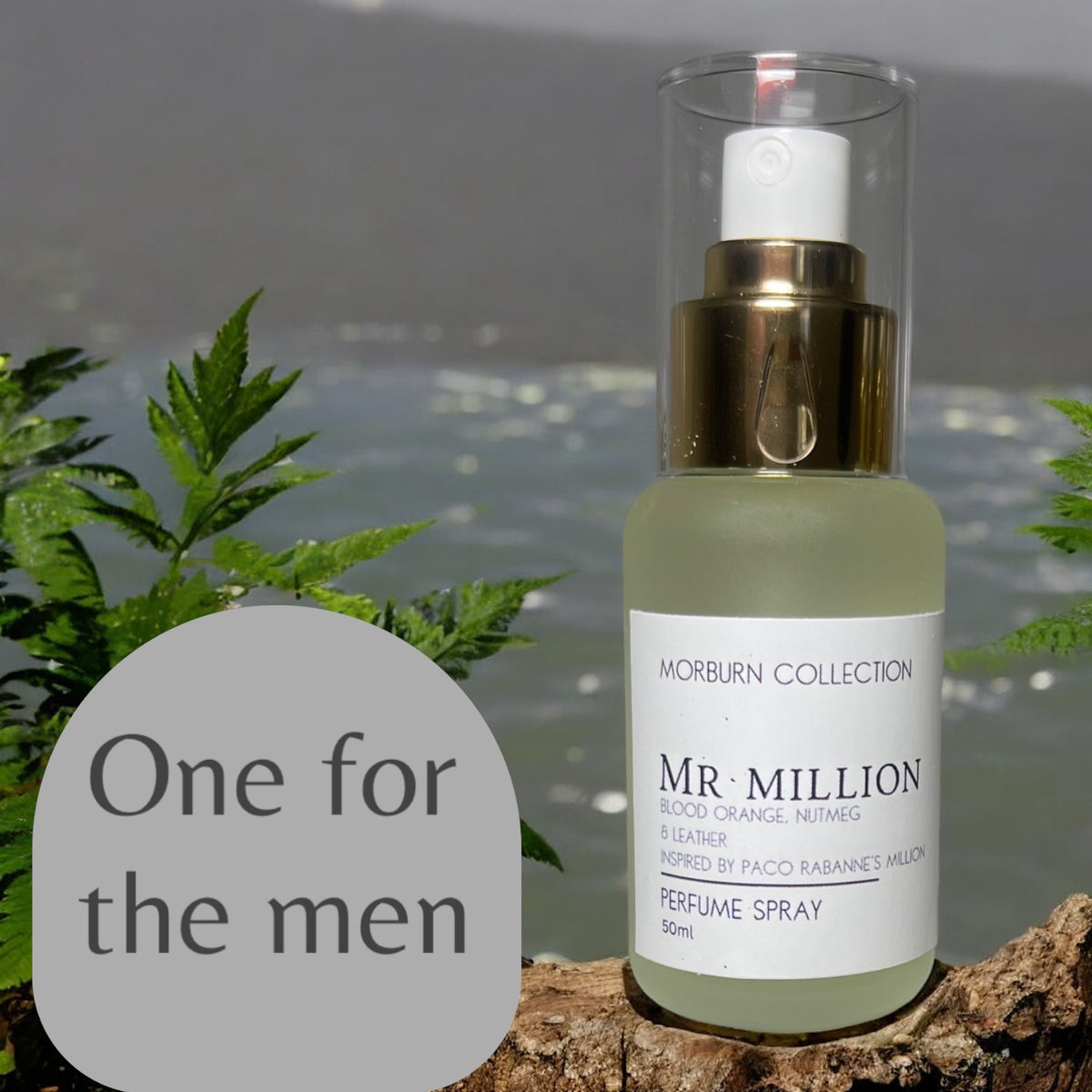 Mr Million Aftershave inspired by Paco Rabanne’s Million – Morburn ...